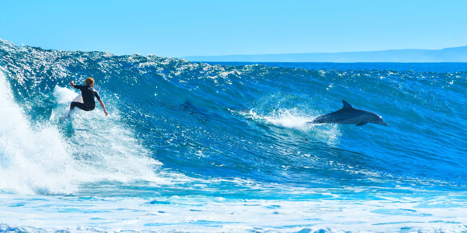 Best Kalbarri Surf Spots: Raw Waves & Real Adventure (2025)